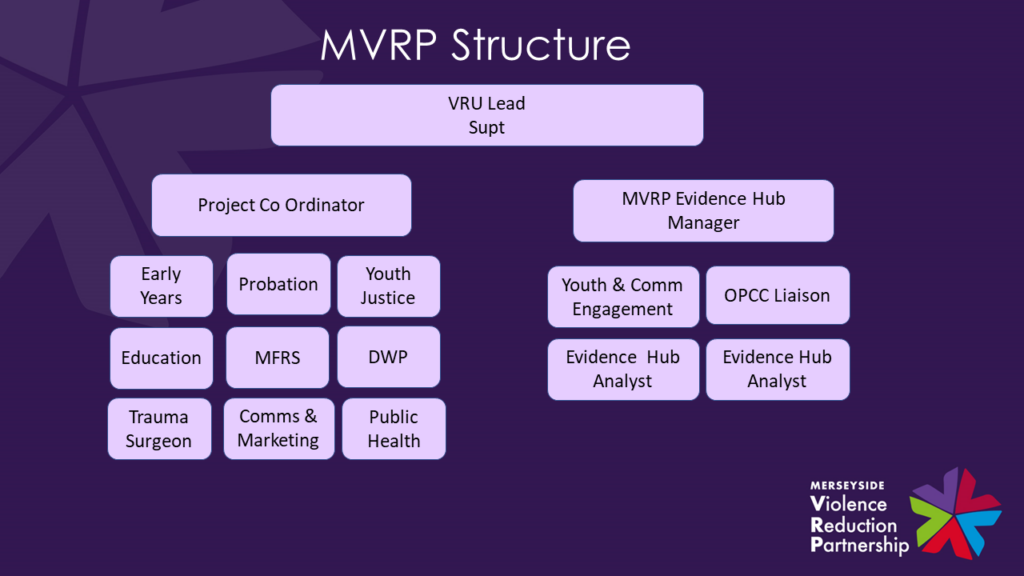 Our Team - Merseyside Violence Reduction Partnership